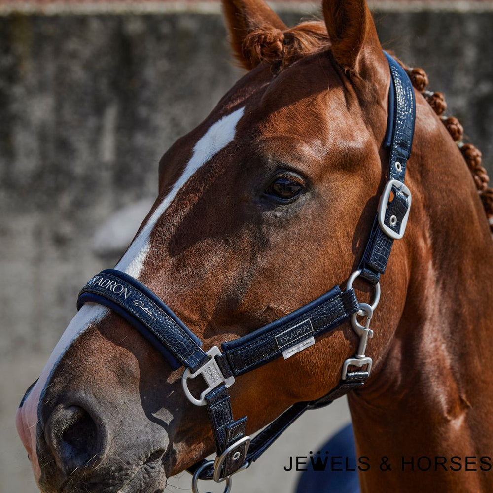 Headcollars and lead ropes. Core considerations. - Jewels and Horses ...